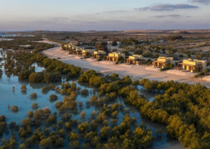 Sir Bani Yas Island, Abu Dhabi - Adventure, Wildlife & Stay