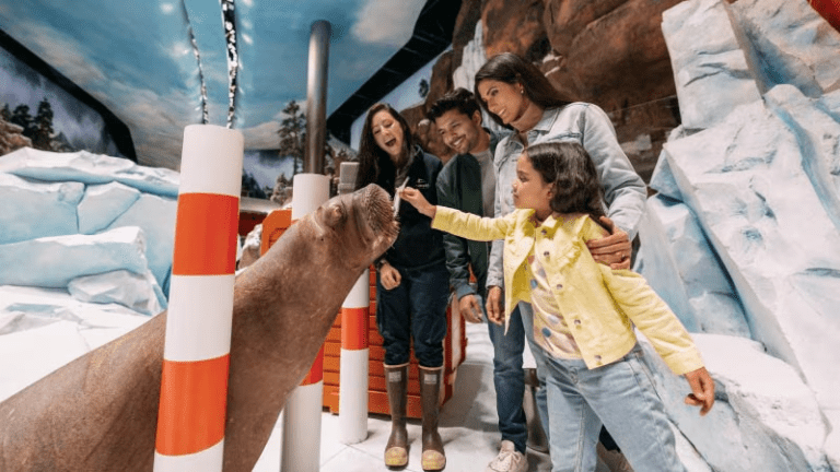 Top 10 Things to Know About SeaWorld Abu Dhabi