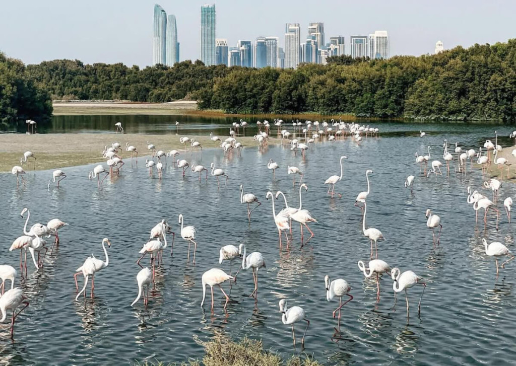 Dubai Attractions 2025: Complete Guides to Must-Visit Places