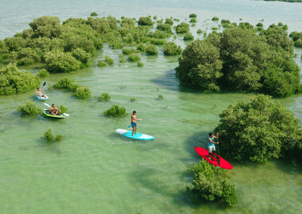 Top 16 Things to Do in Umm Al Quwain for all tourists